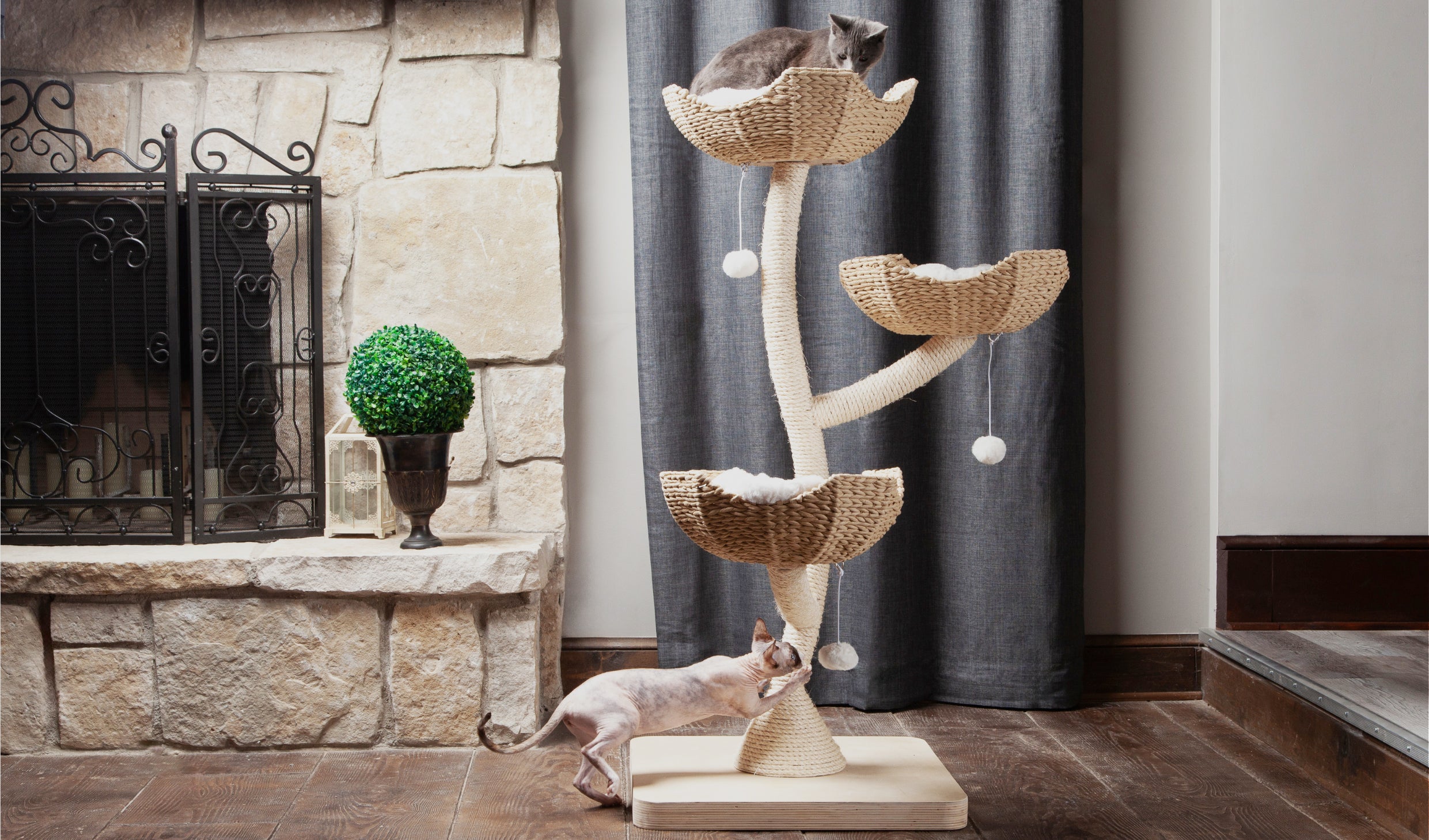 Premium Outdoor Catios - Catio Kits & Custom Designed Catios