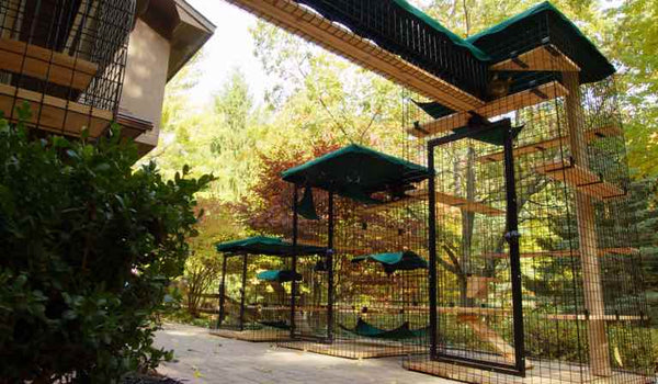 Premium Outdoor Catios - Catio Kits & Custom Designed Catios