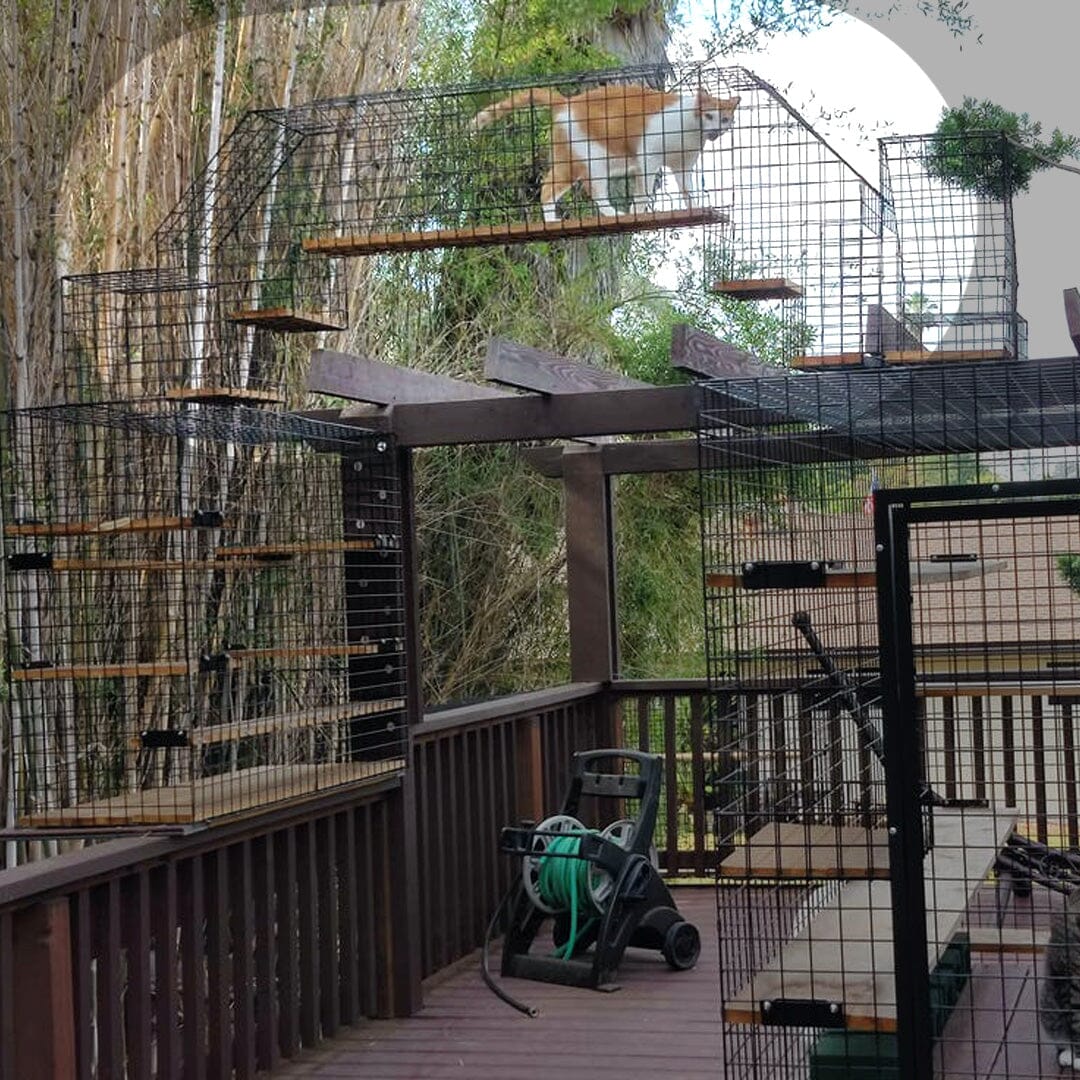 Custom Catios: Design & Build a Custom Catio - Habitat Haven