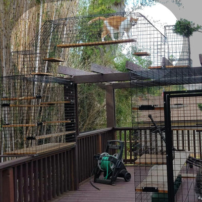 Custom Catios: Design & Build a Custom Catio - Habitat Haven