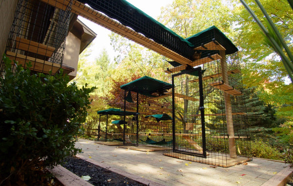 Premium Outdoor Catios - Catio Kits & Custom Designed Catios