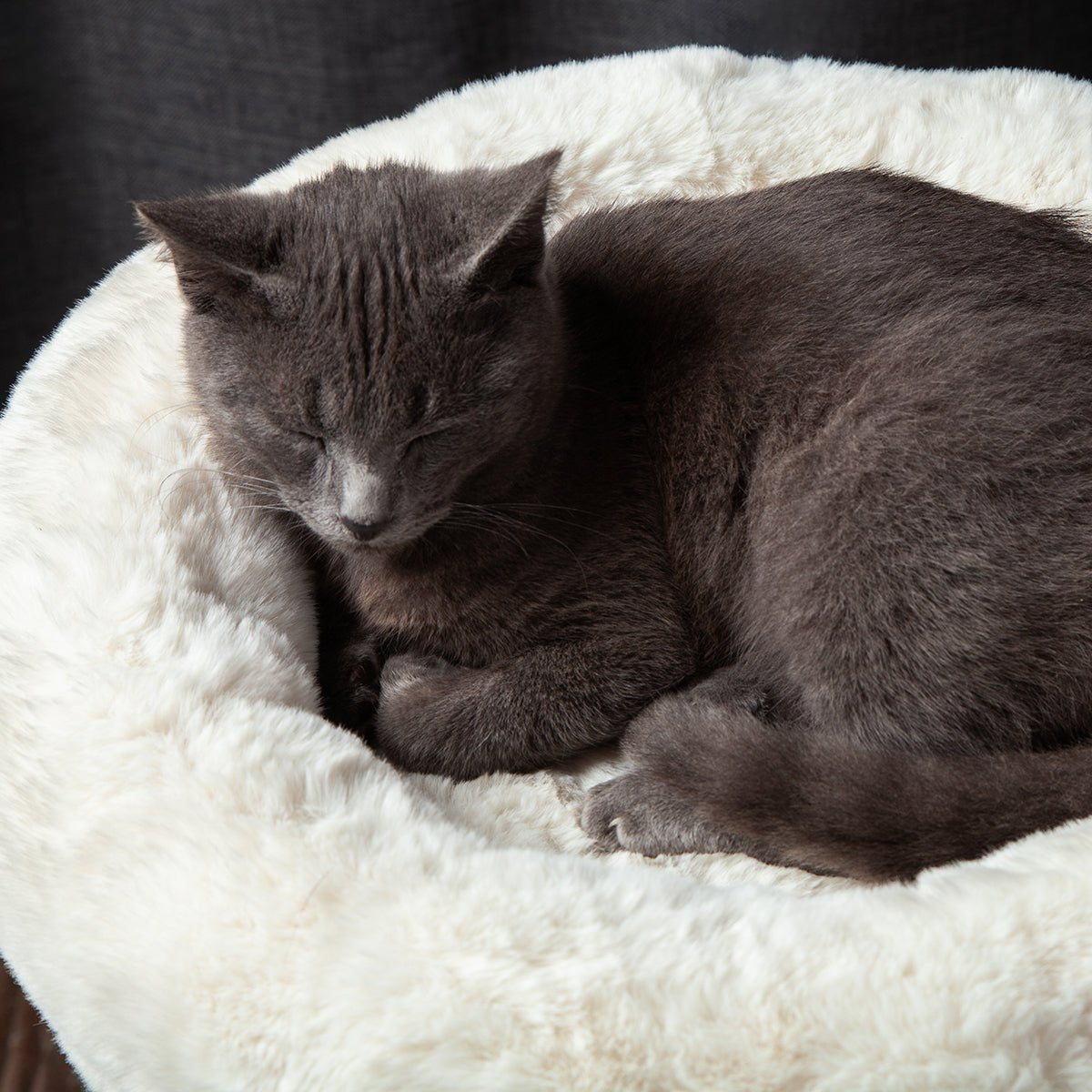 The Oasis Real Wood Cat Tree | Habitat Haven