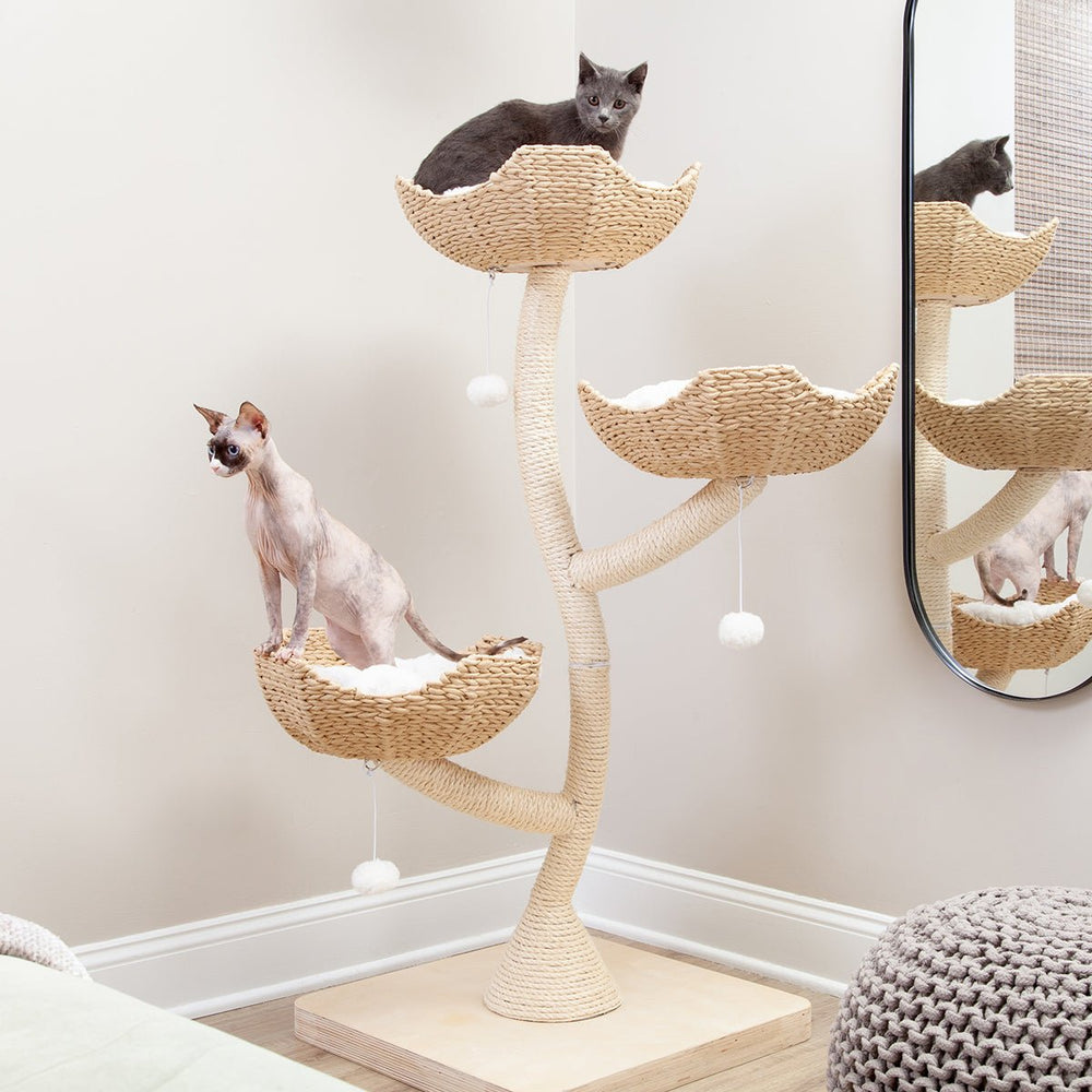 Modern Luxury Cat Trees & Towers | Habitat Haven
