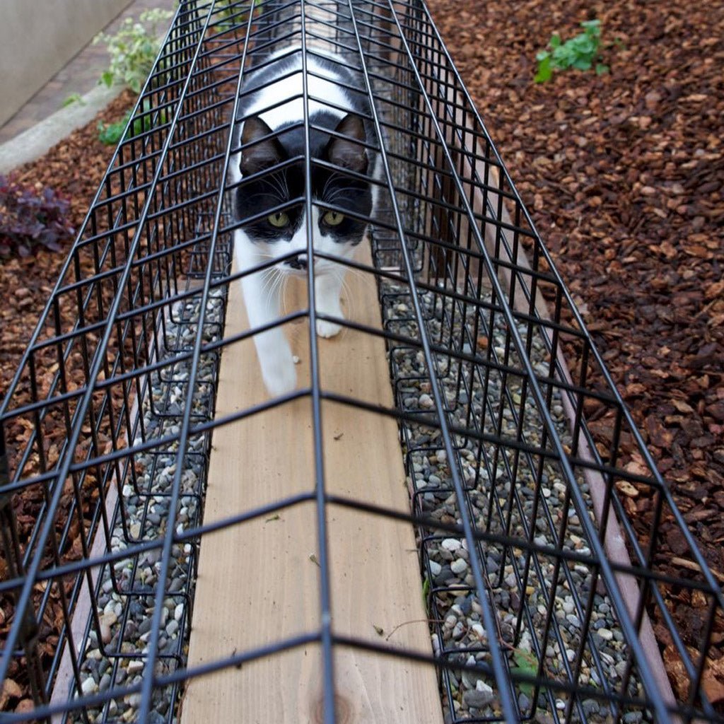 Custom Catios: Design & Build a Custom Catio - Habitat Haven