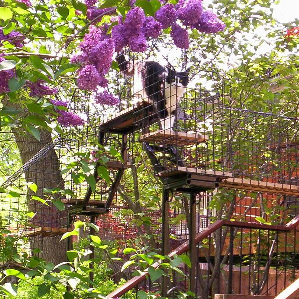 Learn How To Build A Catio | Great Parts by Habitat Haven